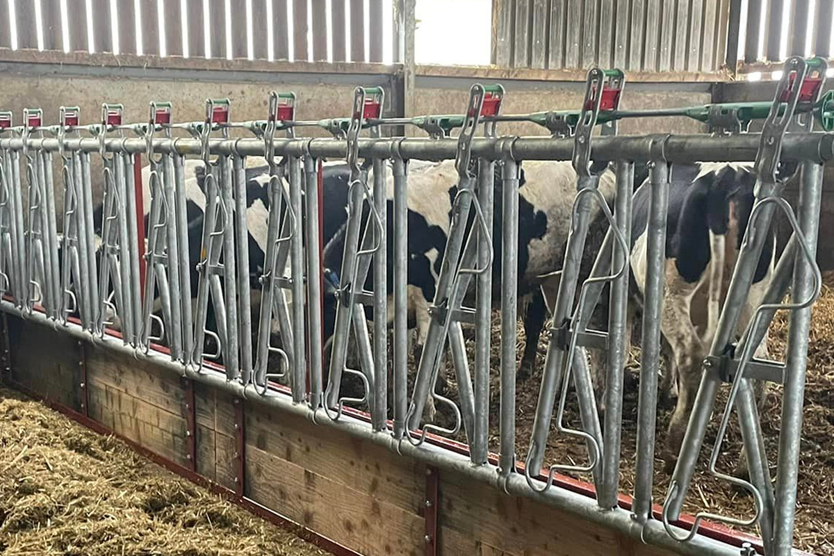 Home - SD Engineering